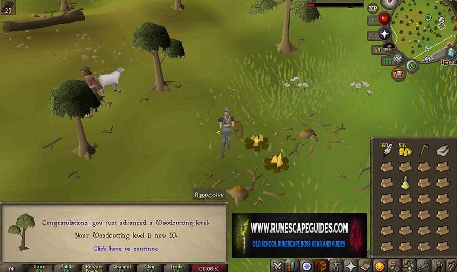 Step-by-Step OSRS BEGINNERS GUIDE – EVERYTHING YOU NEED TO GET STARTED ...