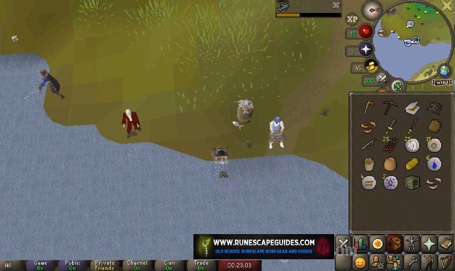 Step-by-Step OSRS BEGINNERS GUIDE – EVERYTHING YOU NEED TO GET STARTED ...