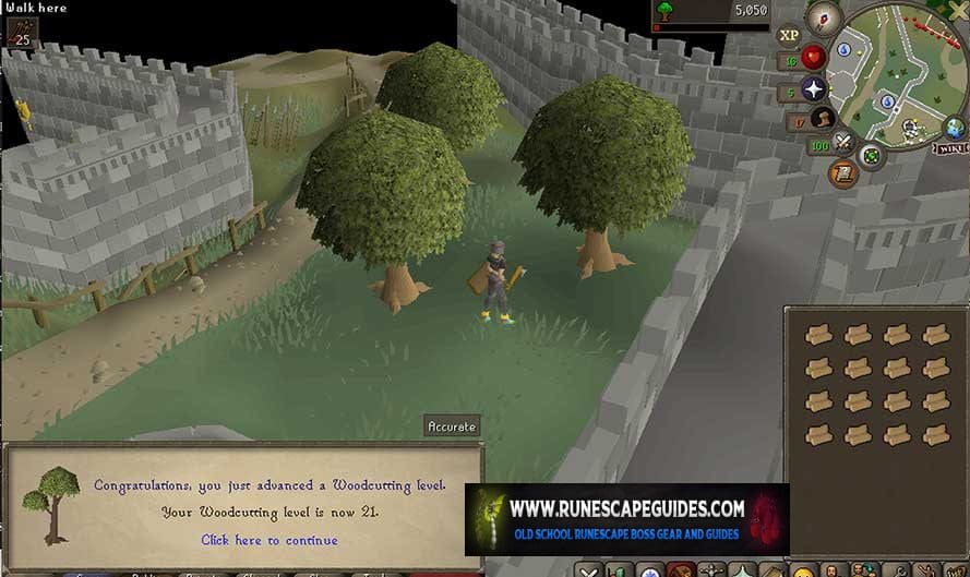 Step-by-Step OSRS BEGINNERS GUIDE – EVERYTHING YOU NEED TO GET STARTED ...